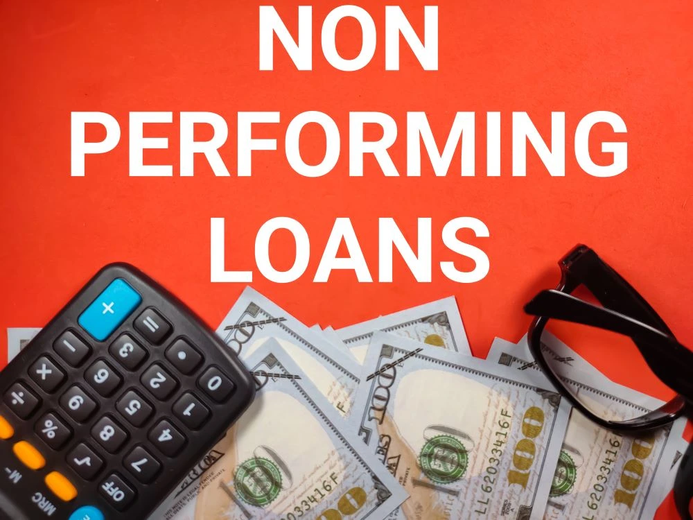 Non Performing Loans: Meaning, Causes, How to Calculate, and Impact